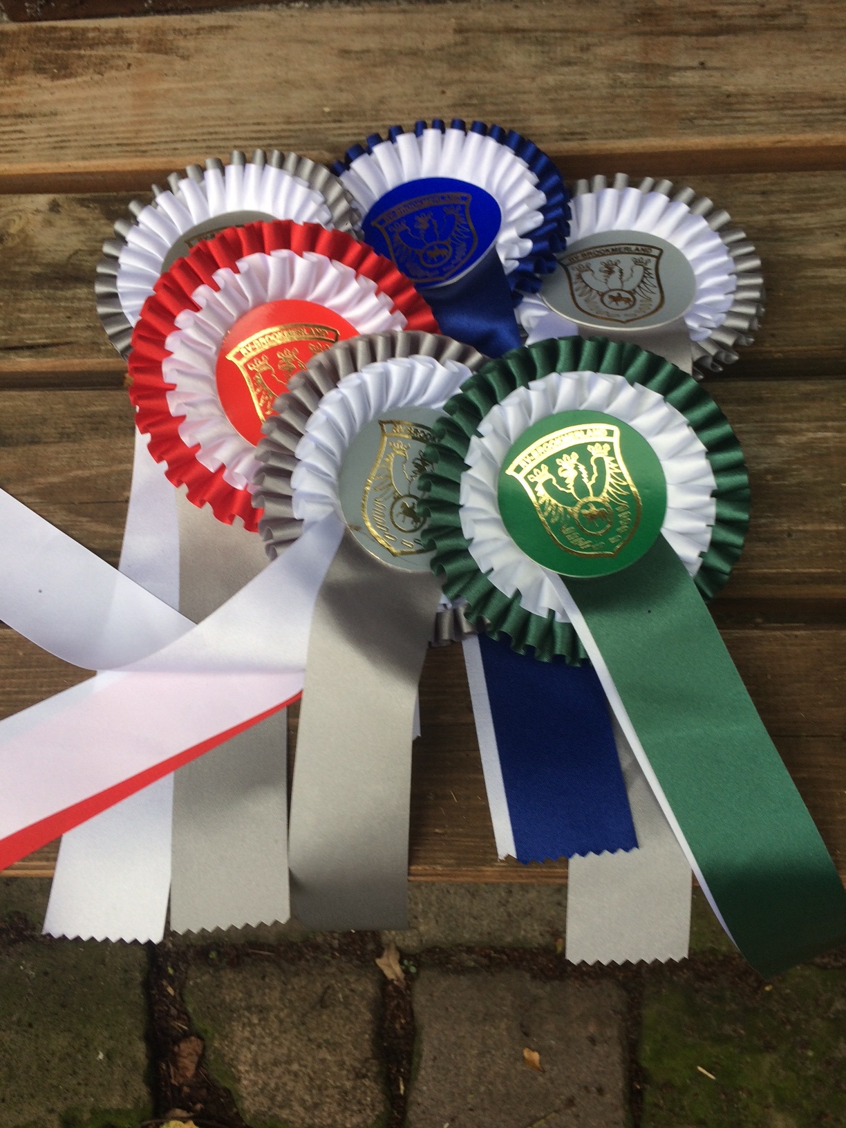 Highlight in September… – ride clever – education stall Abrahams